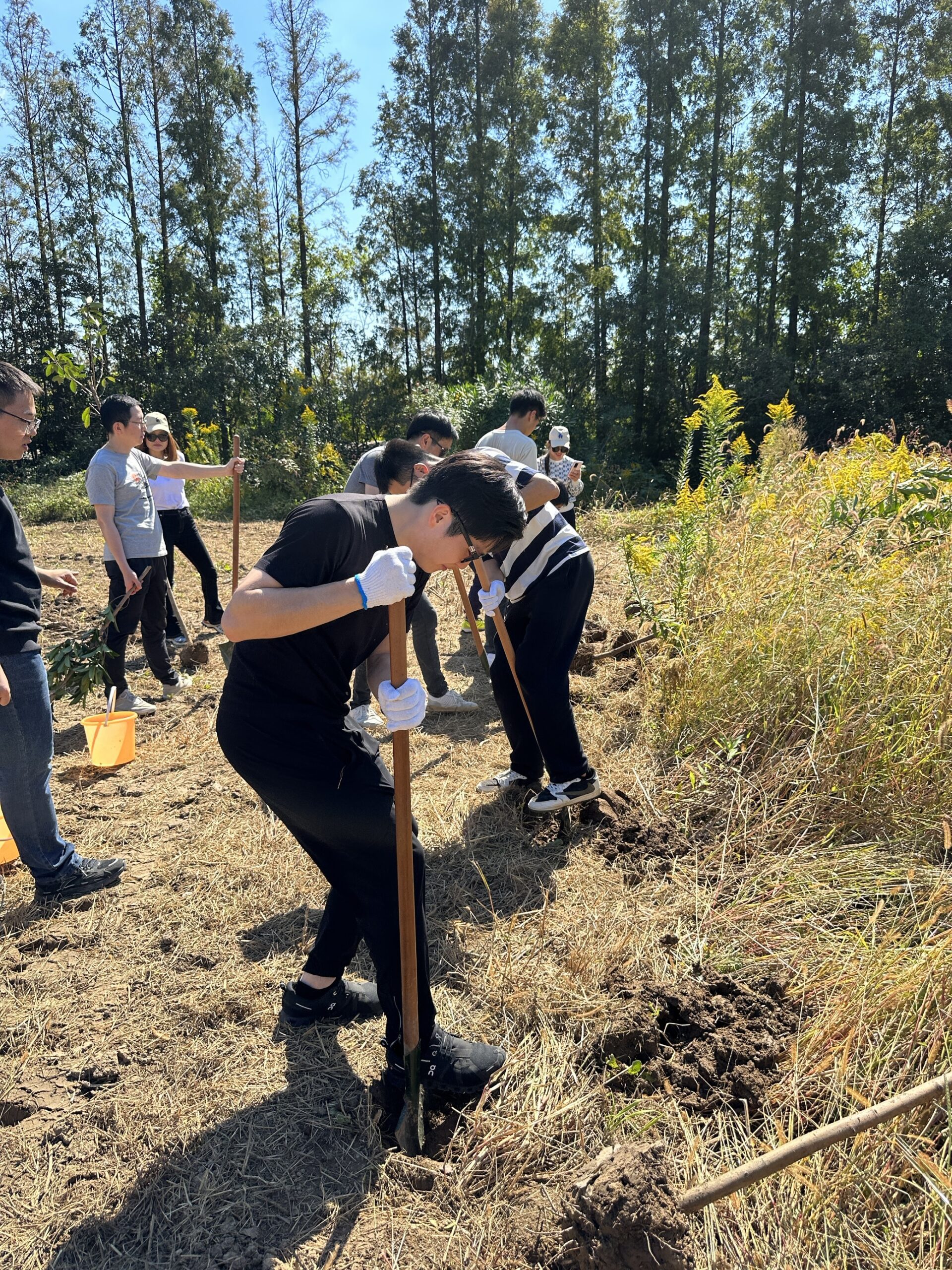 Smith’s Shanghai Employees Plant Trees at Local Park - Smith